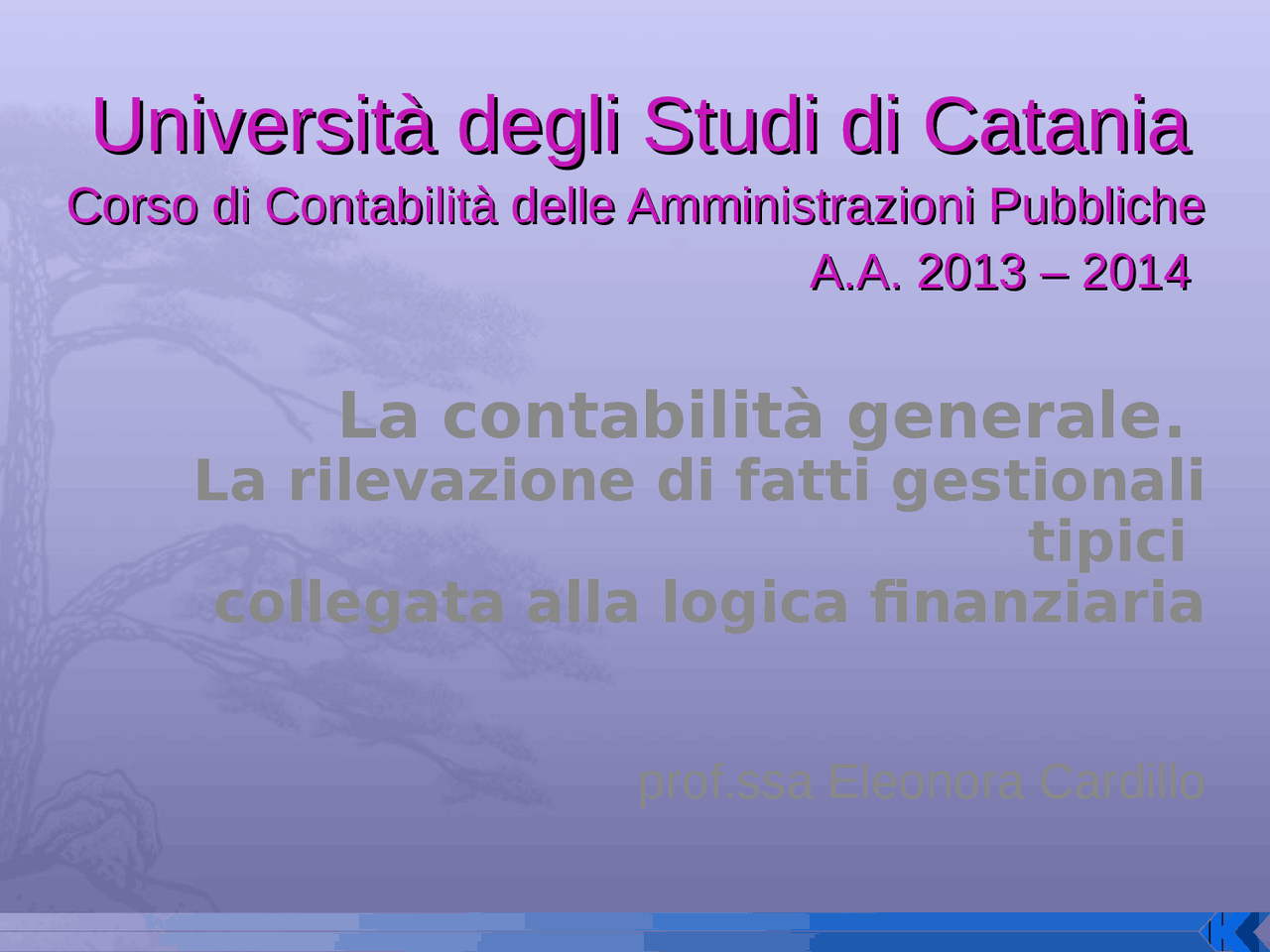 Contabilità Negli Enti Locali Docsity