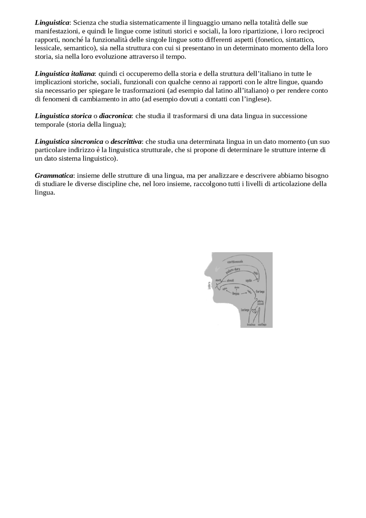Elementi Dellanalisi Grammaticale Docsity