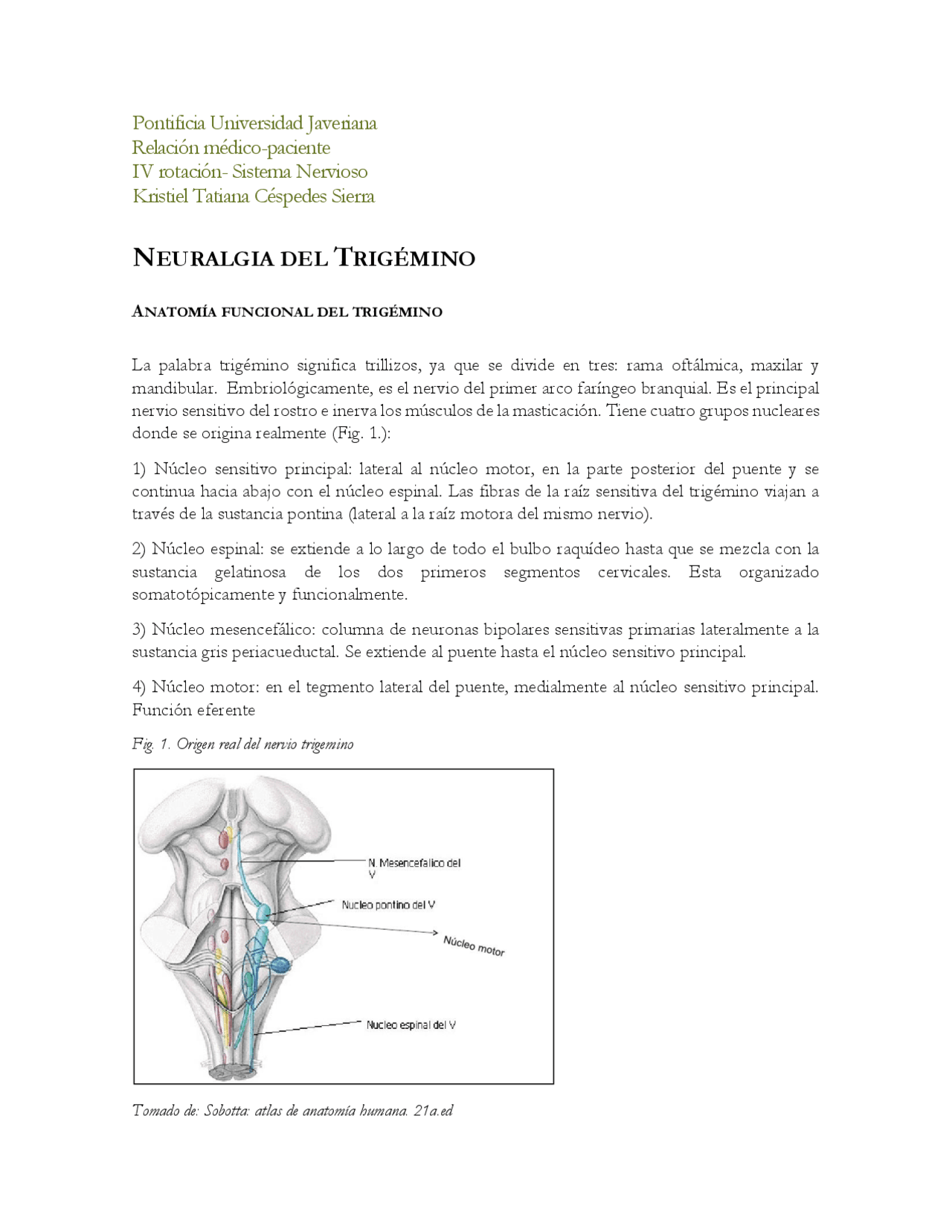 Neuralgia Del Trigemino Monografías Ensayos De Neurología Docsity