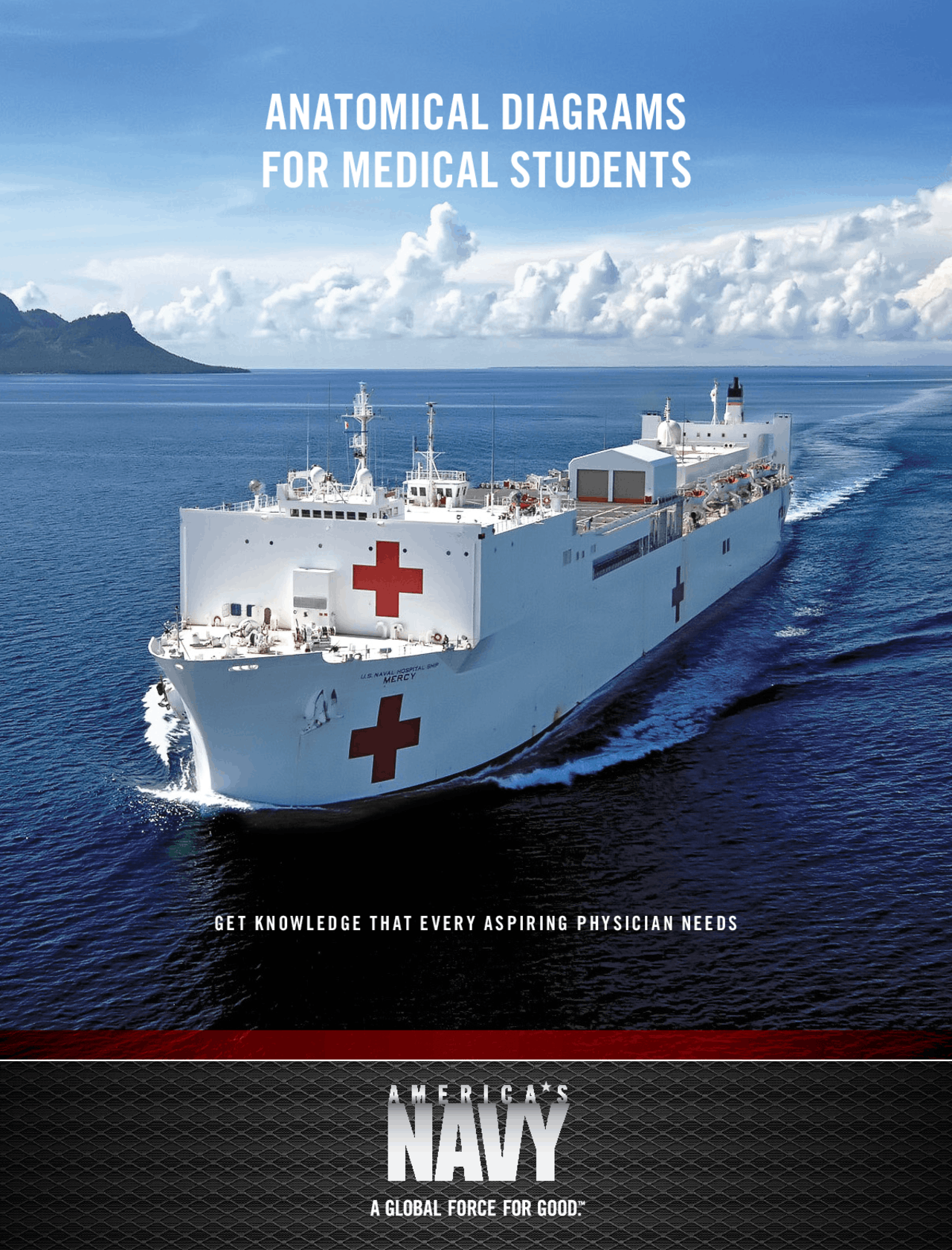 Navy Anatomical Diagrams for Medical Students - Docsity