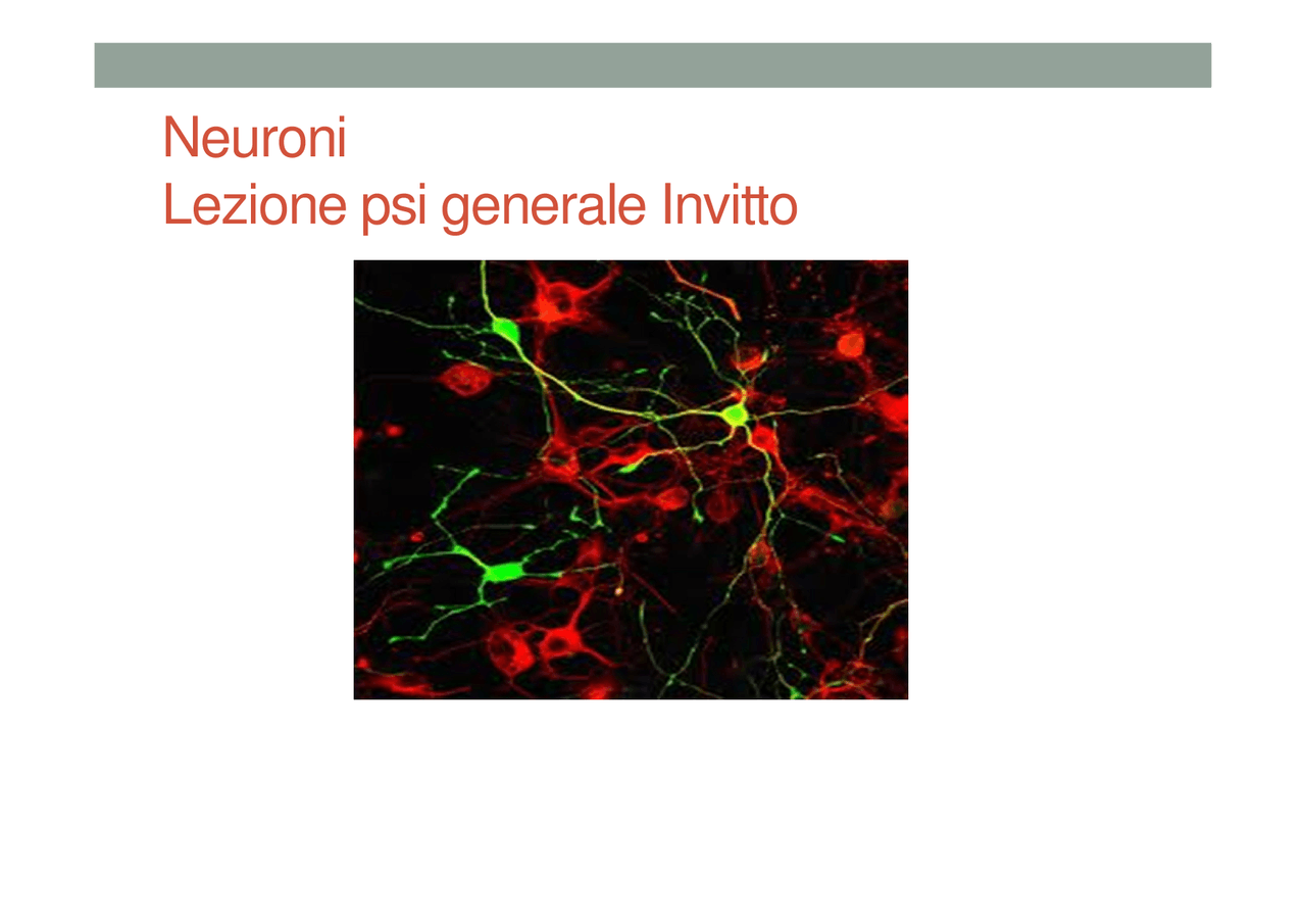 Principali tipi di neuroni - Docsity