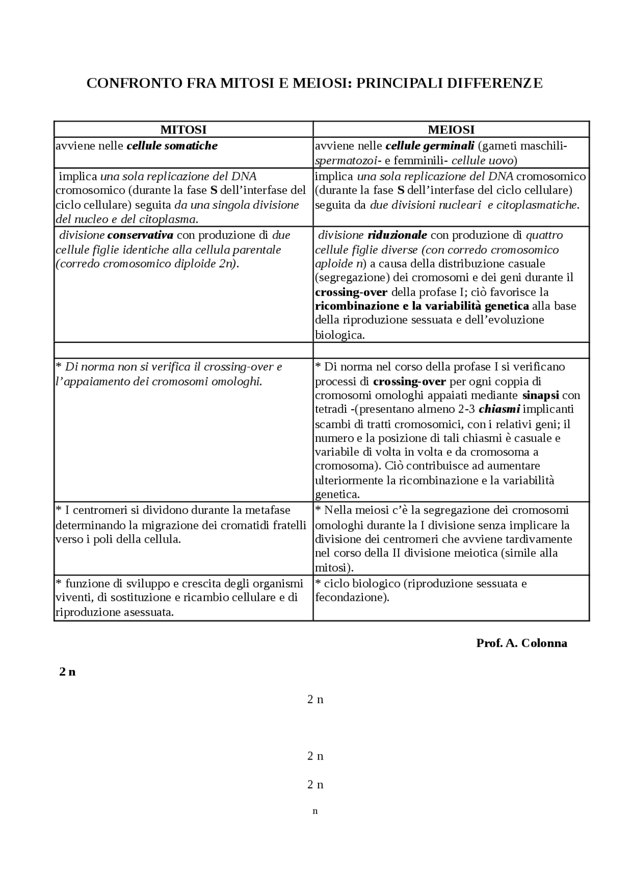 Mitosi Meiosi Docsity