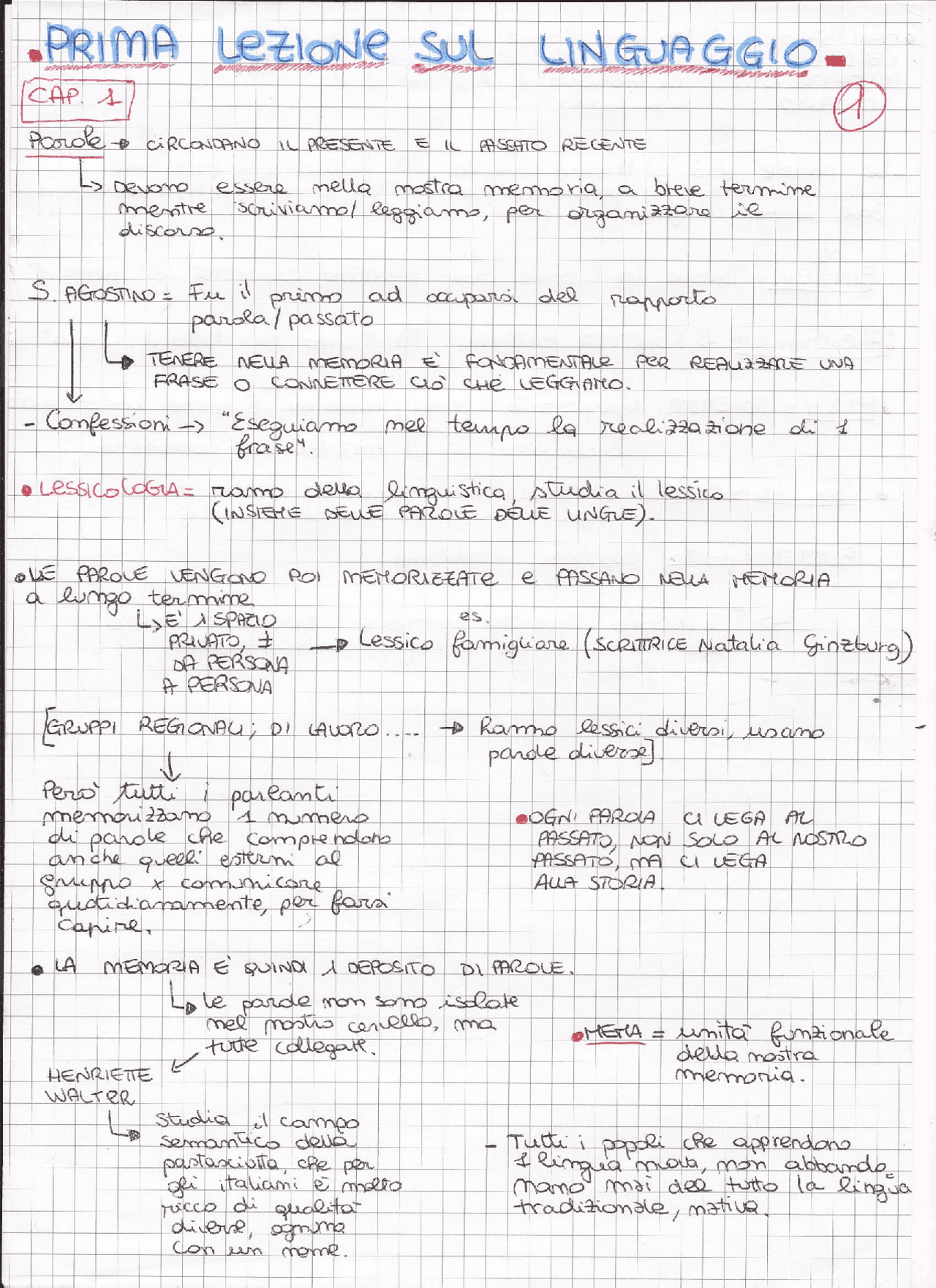 Riassunti Prima Lezione Sul Linguaggio Docsity