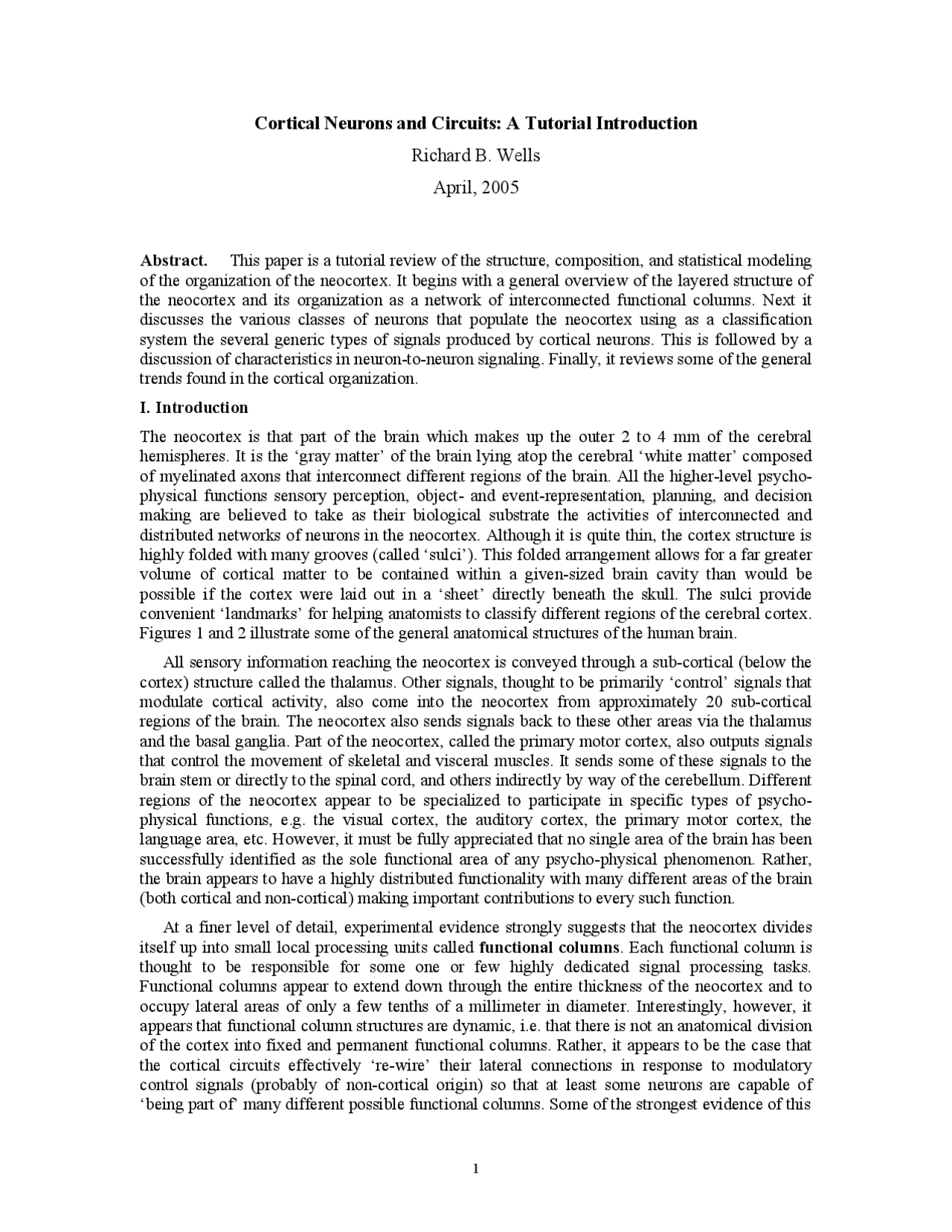 Cortical Neurons And Circuits Docsity