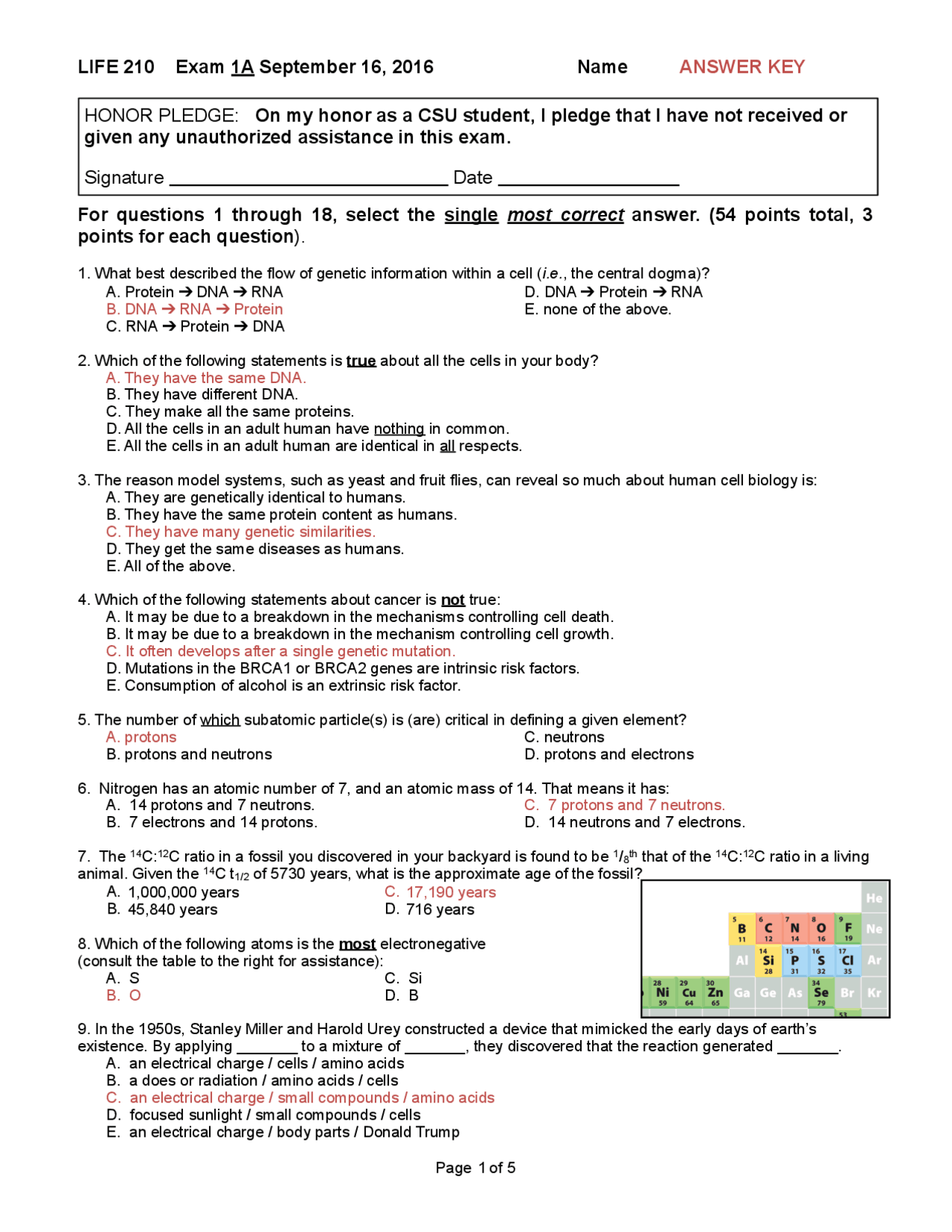 Exam Paper with Answer Key - Introductory Eukaryotic Cell Biology ...