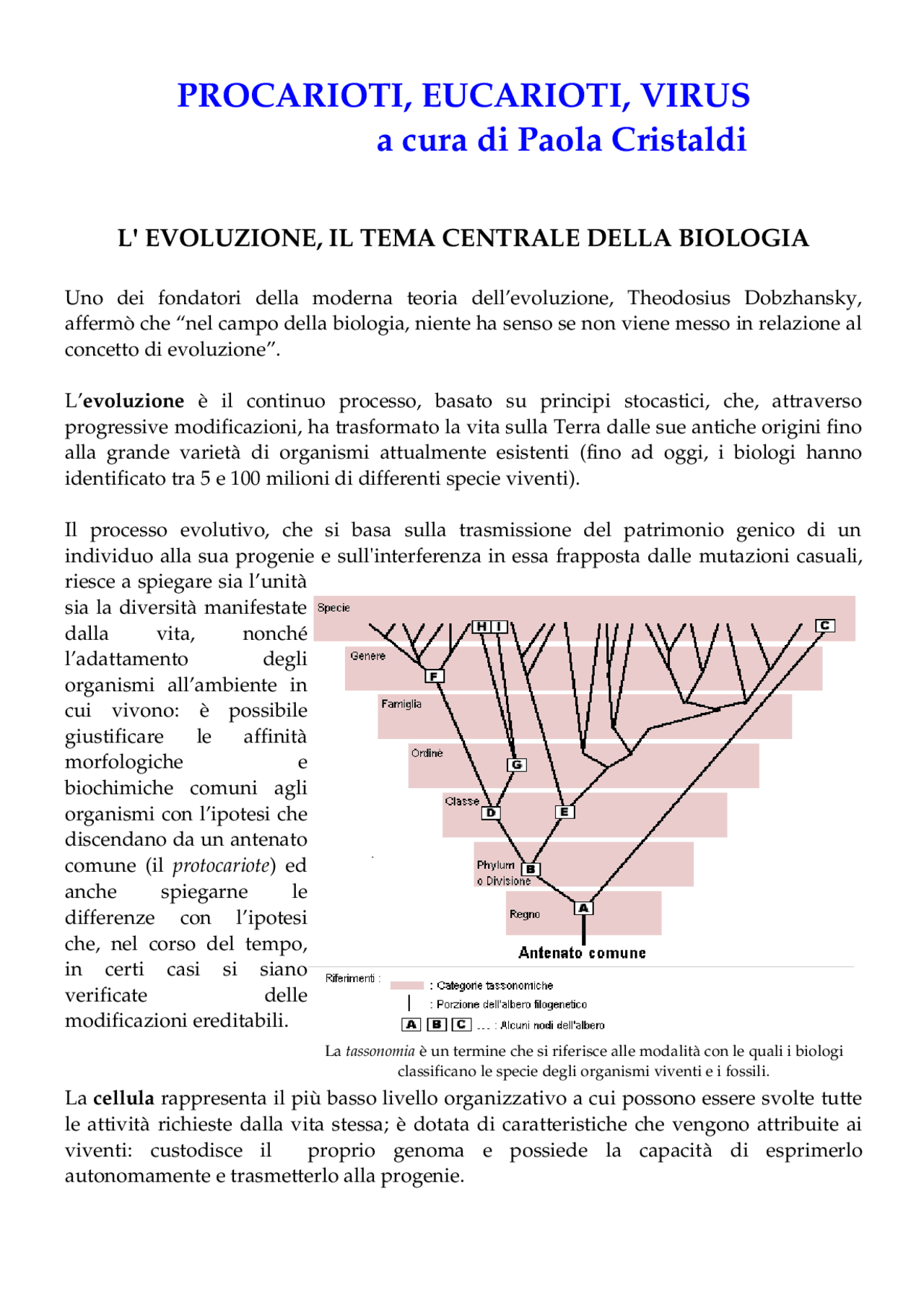 Procarioti Eucarioti Virus A Cura Di Paola Cristaldi Docsity