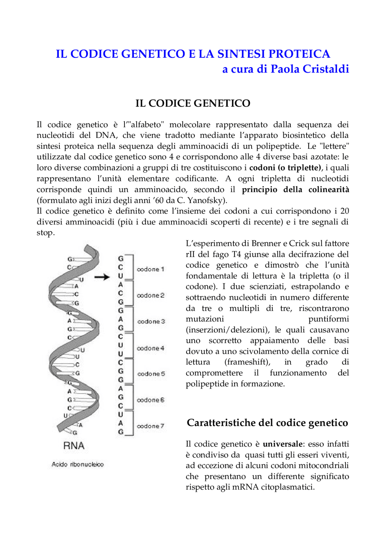 Il codice genetico e la sintesi proteica a cura di Paola Cristaldi ...