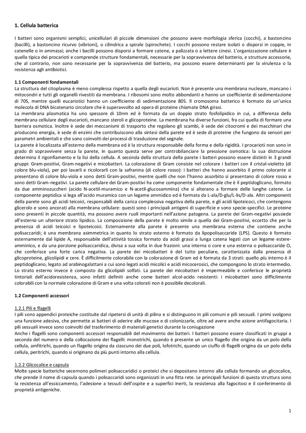 Batteri Docsity