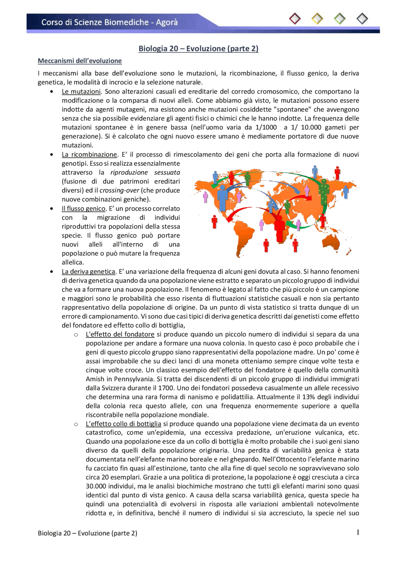 Meiosi E Anche Mitosi Docsity
