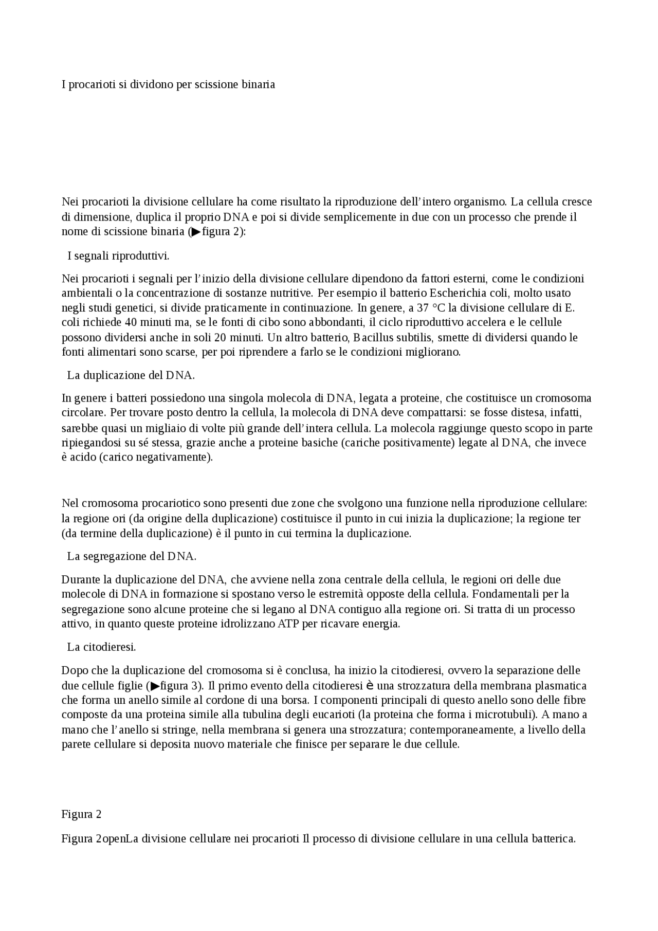 La Divisione Cellulare Docsity