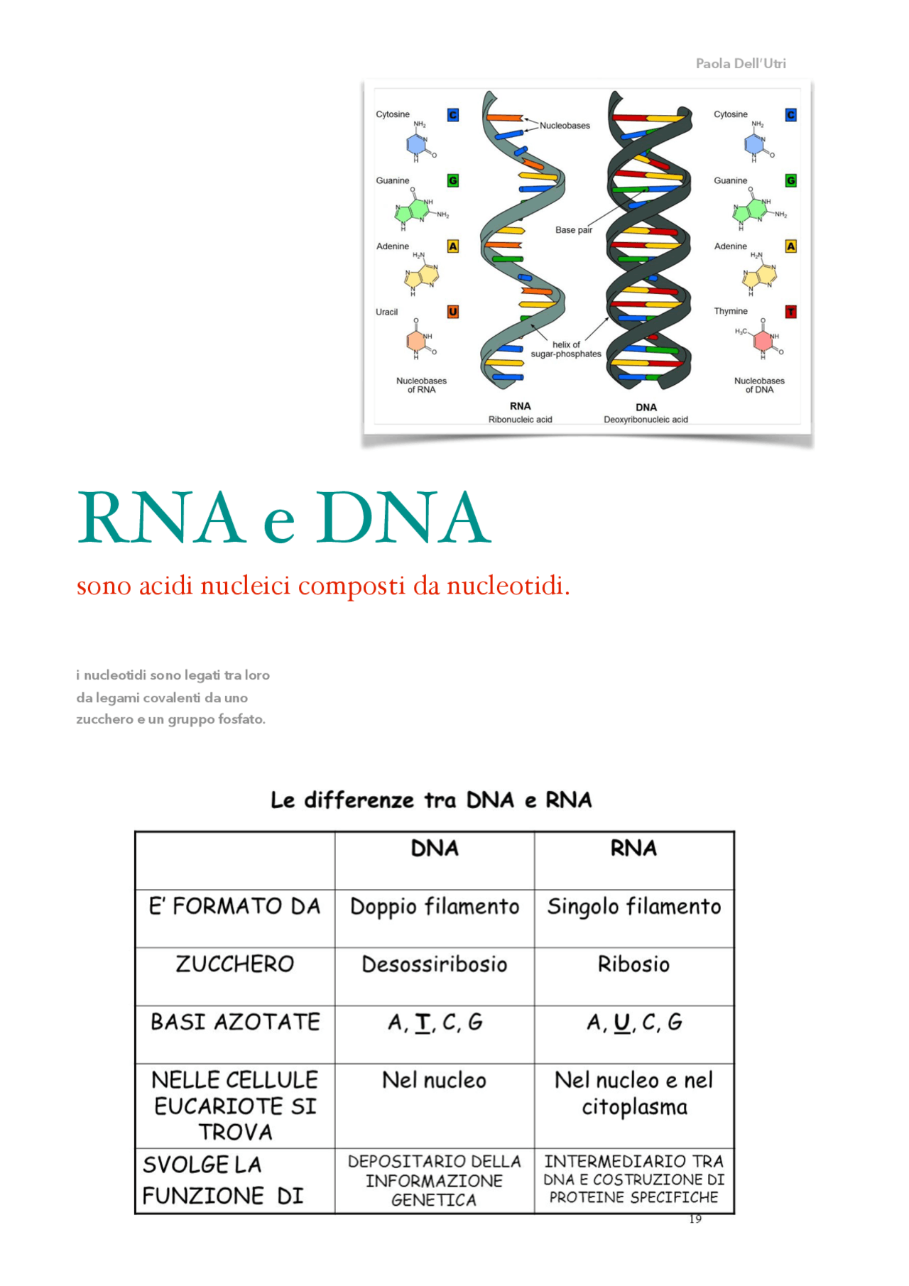 Schemi Dna Liceo Classico Schemi E Mappe Concettuali Di Chimica Docsity