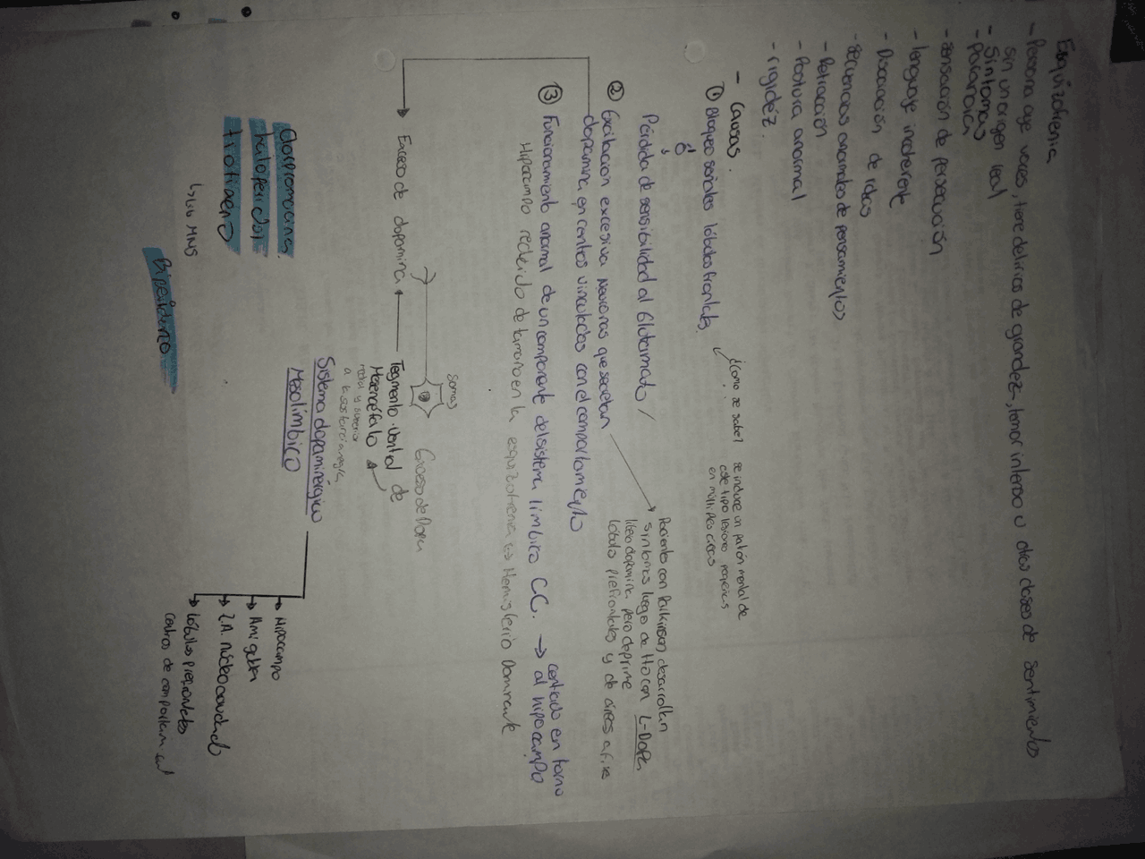Estados de actividad cerebral cap 59 Guyton: Esquizofrenia - Docsity