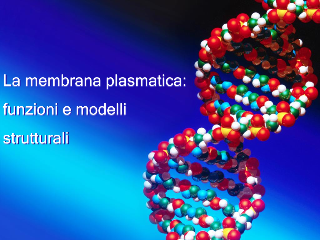La Membrana Plasmatica Docsity