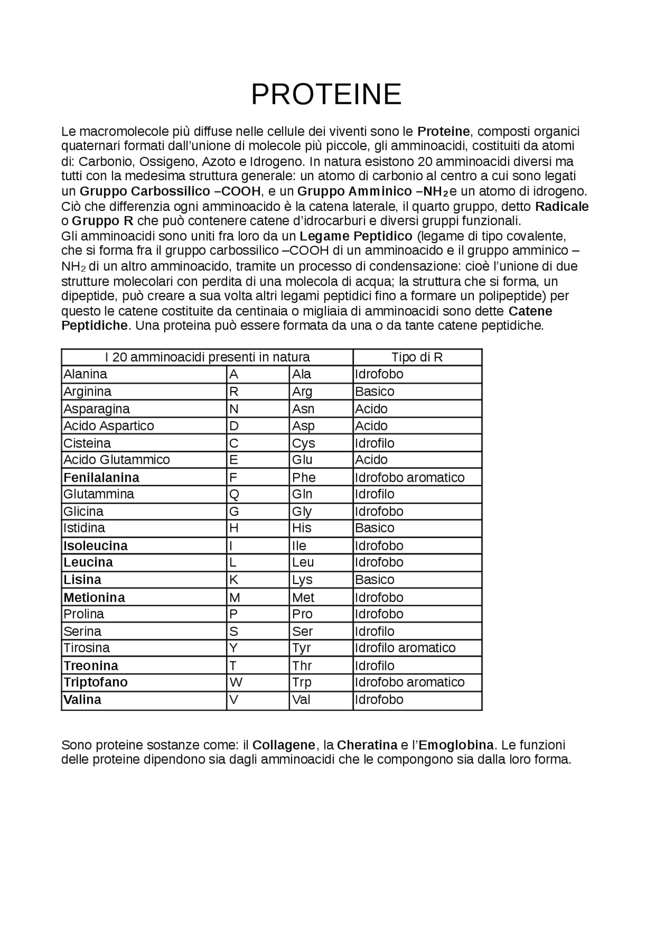 Riassunto Sulle Proteine Docsity
