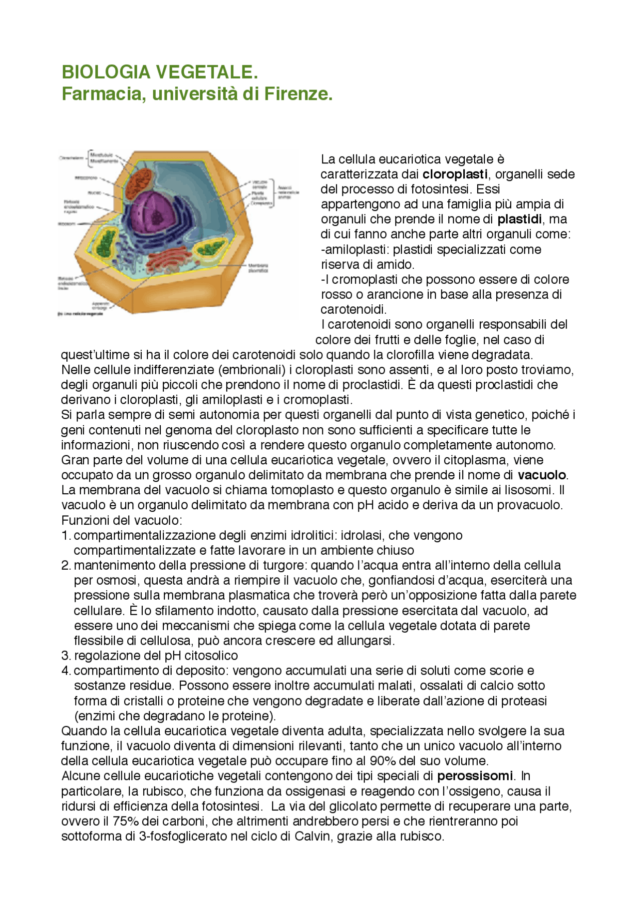 Biologia, cellula vegetale - Docsity