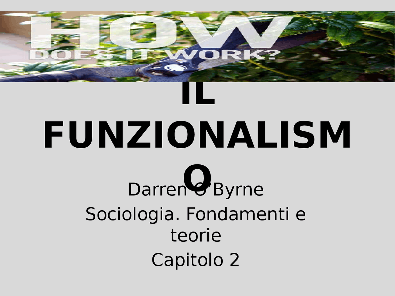 Il Funzionalismo Appunti Sociologia Docsity