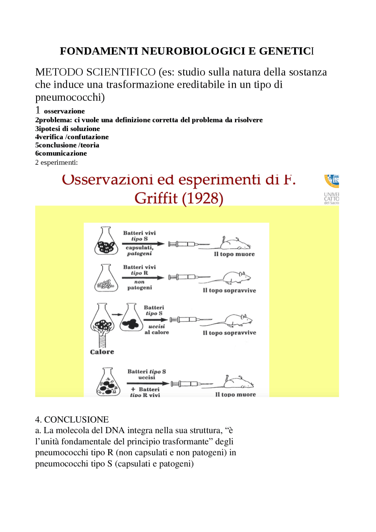 Fondamenti Neurobiologici E Genetici Docsity