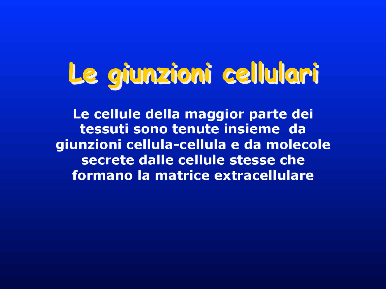 Anatomia Slides Primo Anno Scienze Motorie Prof Santoro Docsity