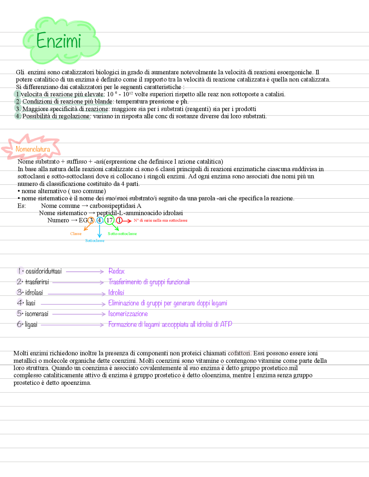 Appunti Biochimica Enzimi Docsity