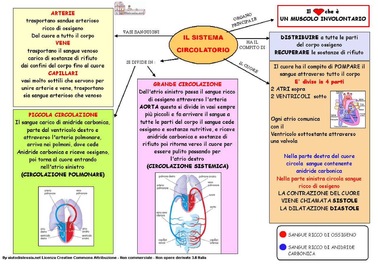 Il Sistema Circolatorio Docsity