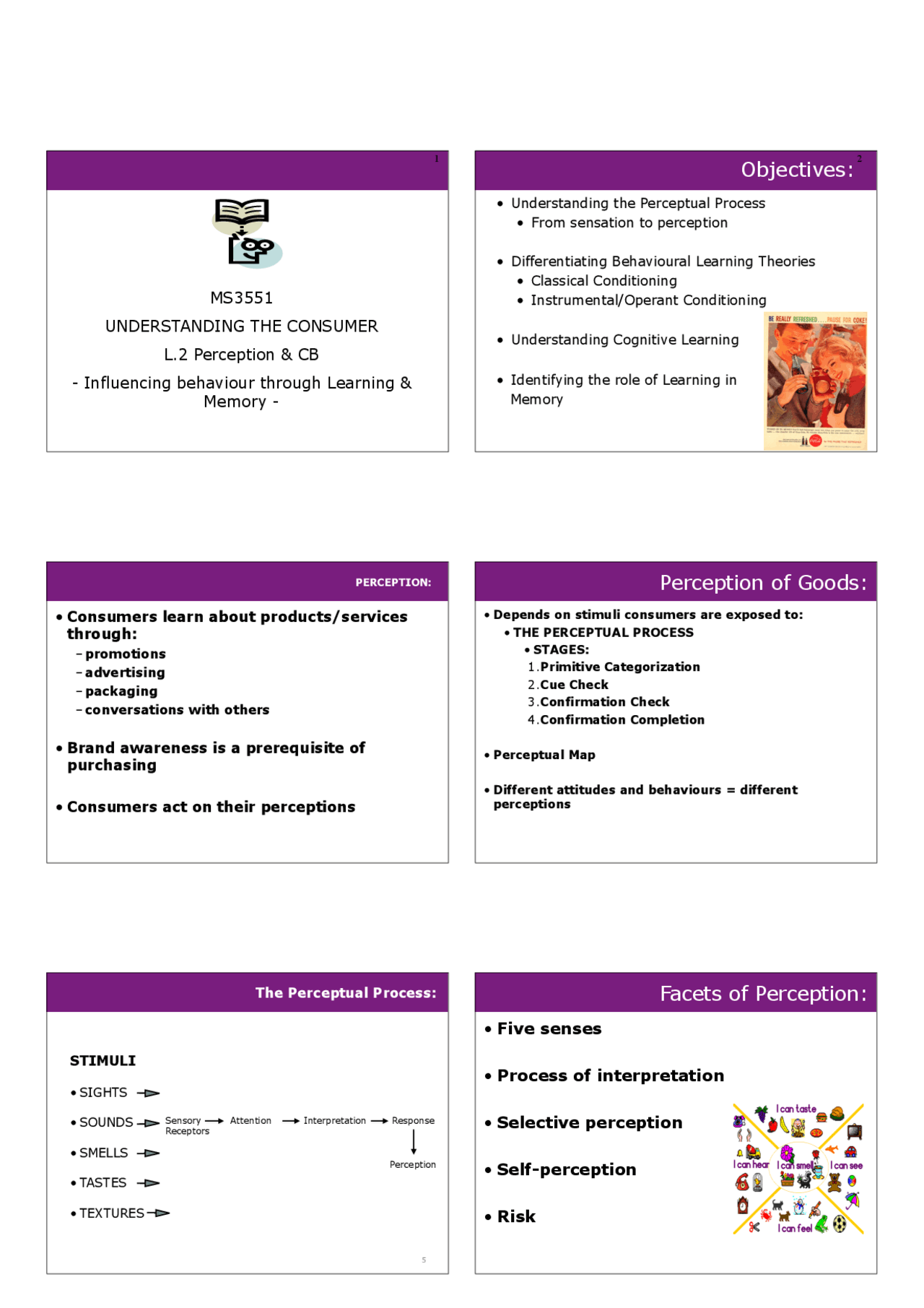 Consumer Behaviour Perception And Learning Process Docsity