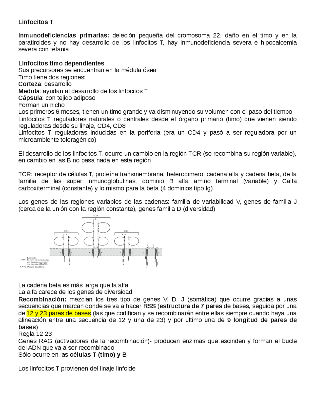Linfocitos T Inmunología Docsity