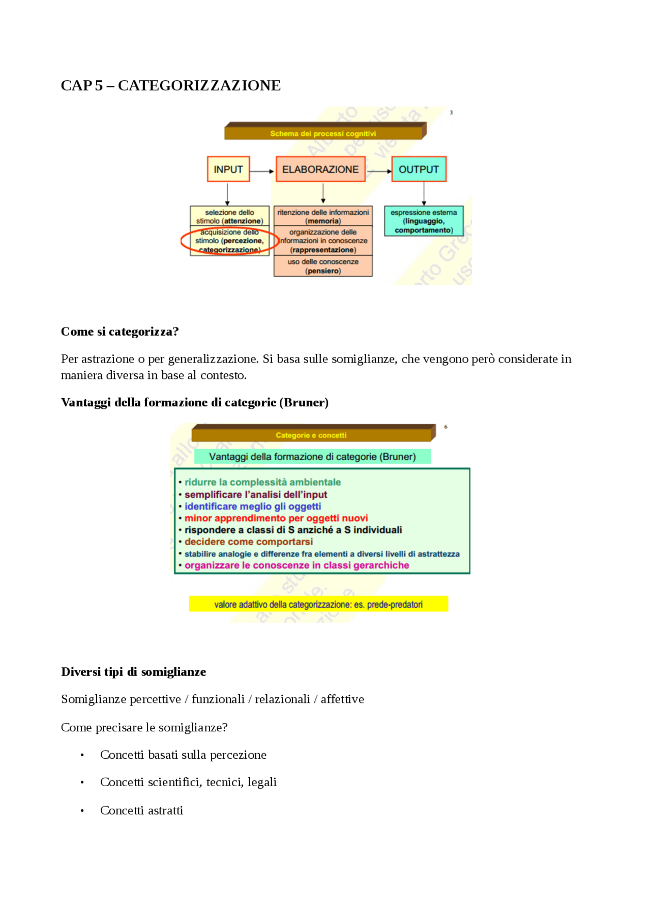 La Categorizzazione Psicologia Dei Processi Cognitivi Appunti Di
