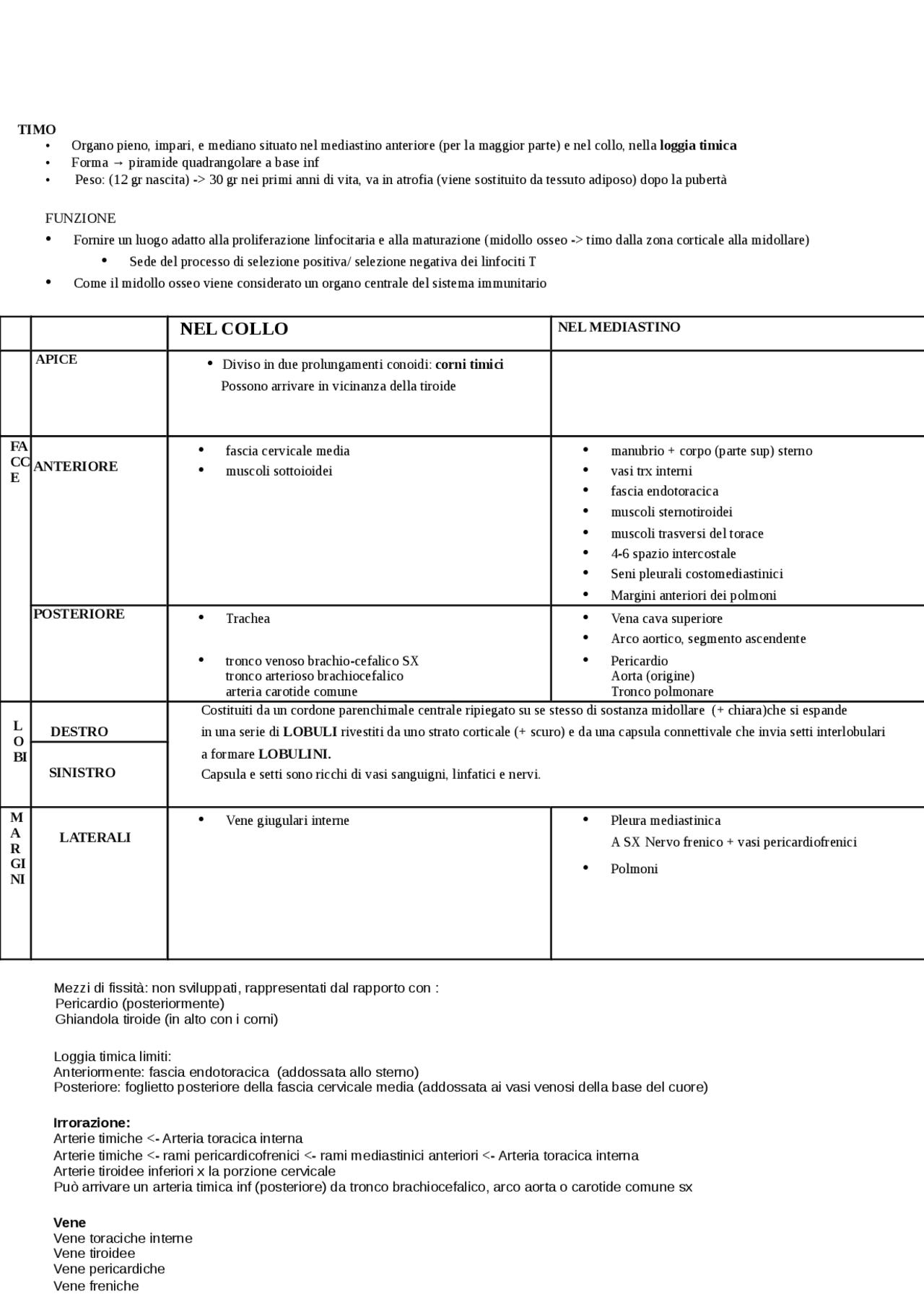 TIMO schema dettagliato di anatomia - Docsity