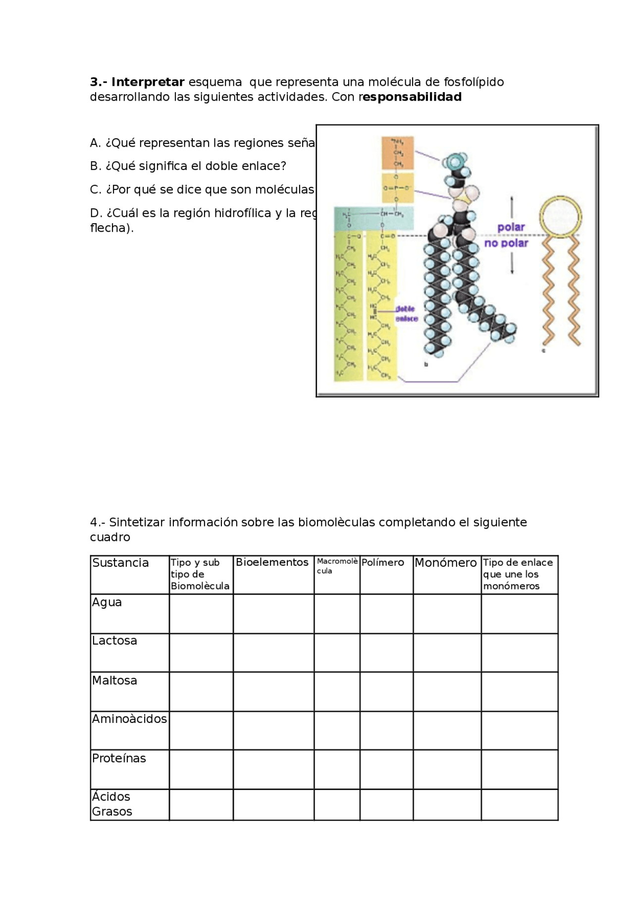 Ejercicios Biomoleculas Docsity