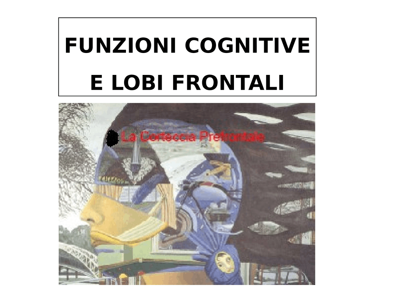 Funzioni esecutive e lobi frontali | Diapositivas de Neurociencia | Docsity