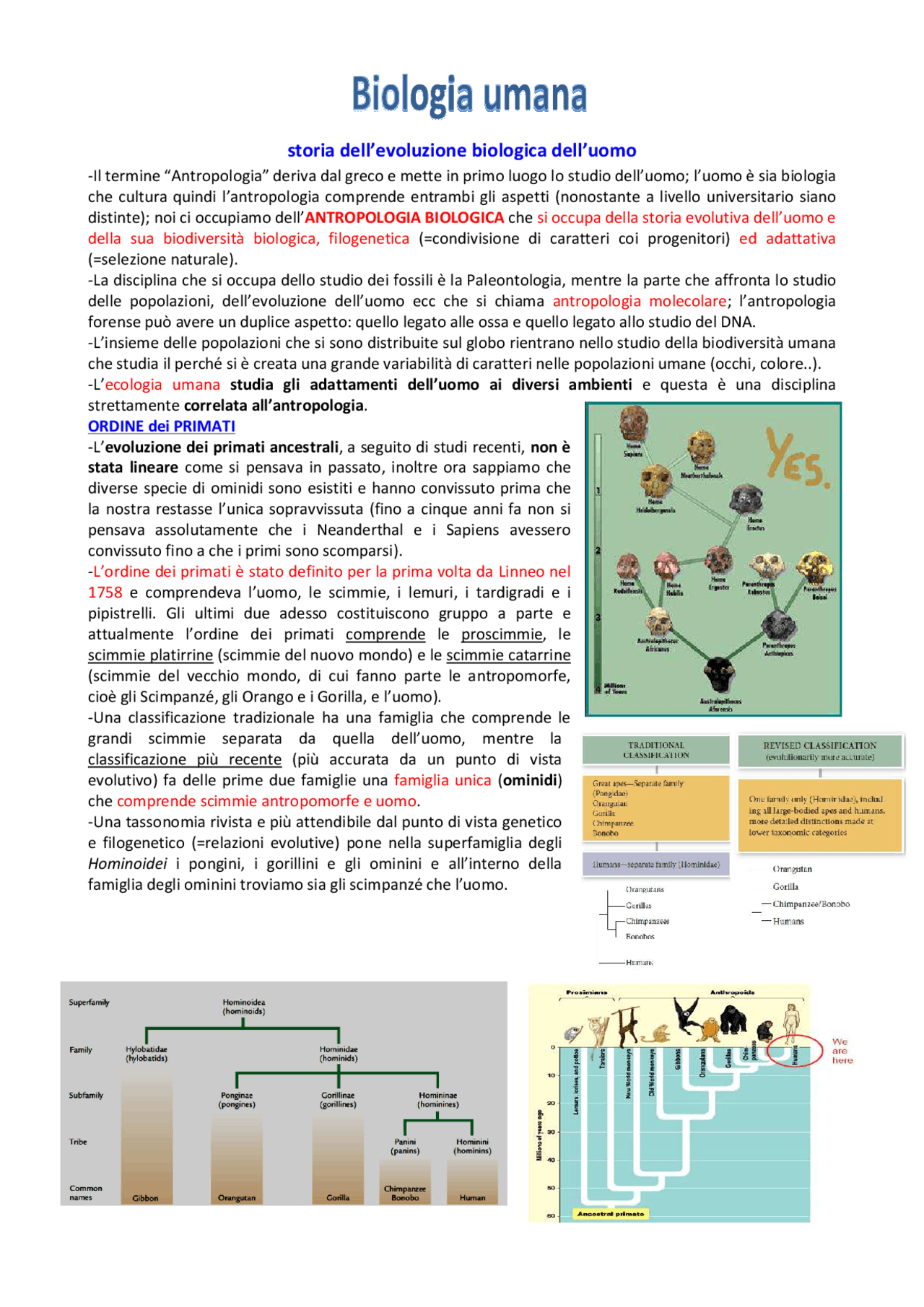 Dispense Di Biologia Umana Docsity