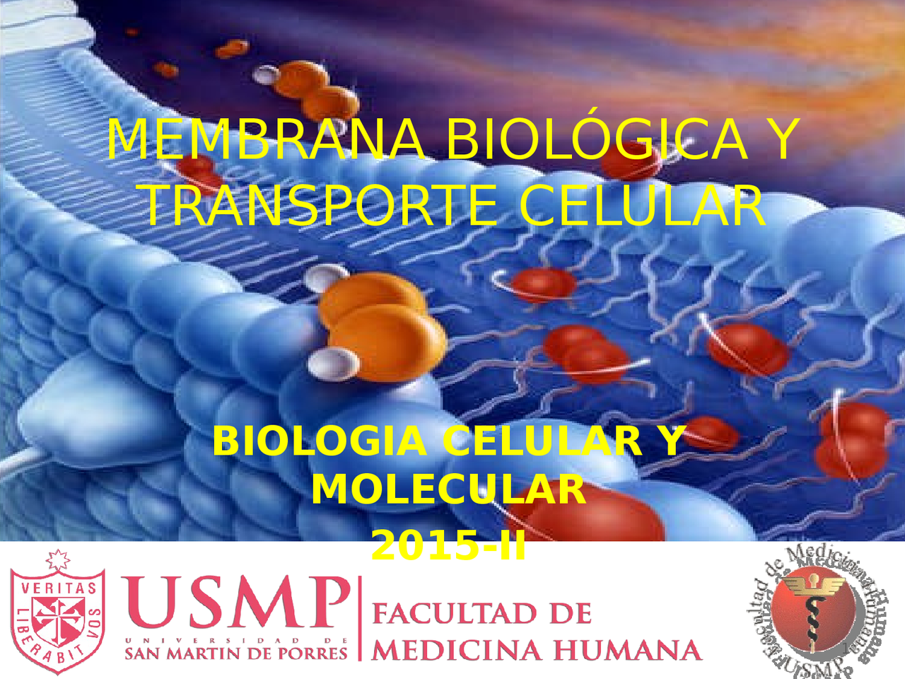 Membrana Celular Usmp Diapositivas De Biología Docsity