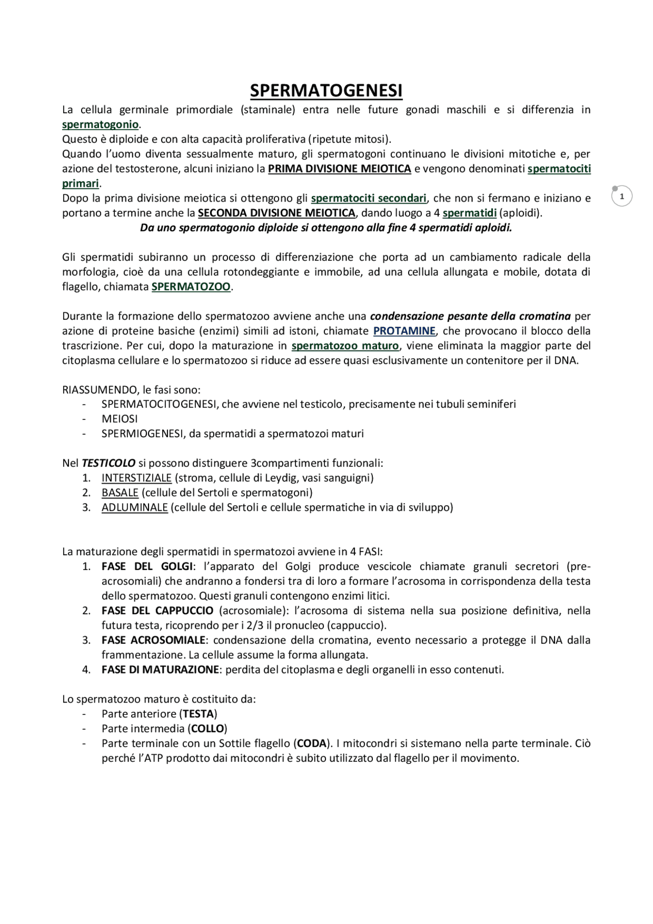 Appunti Biotecnologie Cellulari Docsity