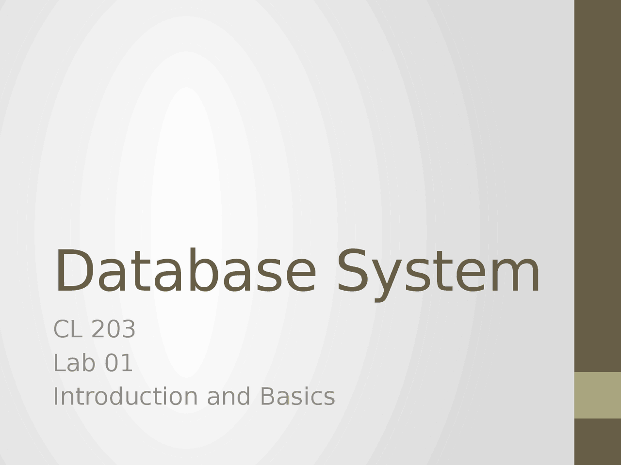 Data Base basic instructions - Docsity