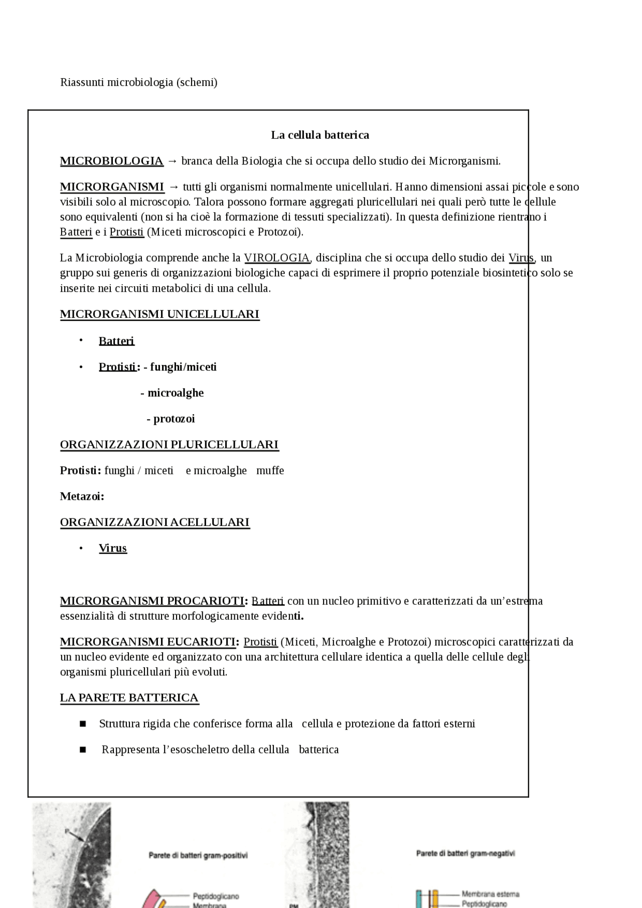Microbiologia Clinica Docsity