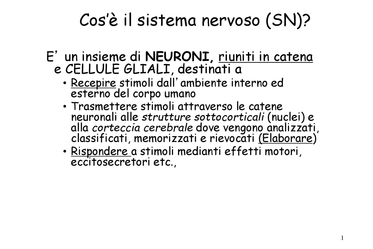 Slide Sul Sistema Nervoso Slide Di Neurobiologia Docsity