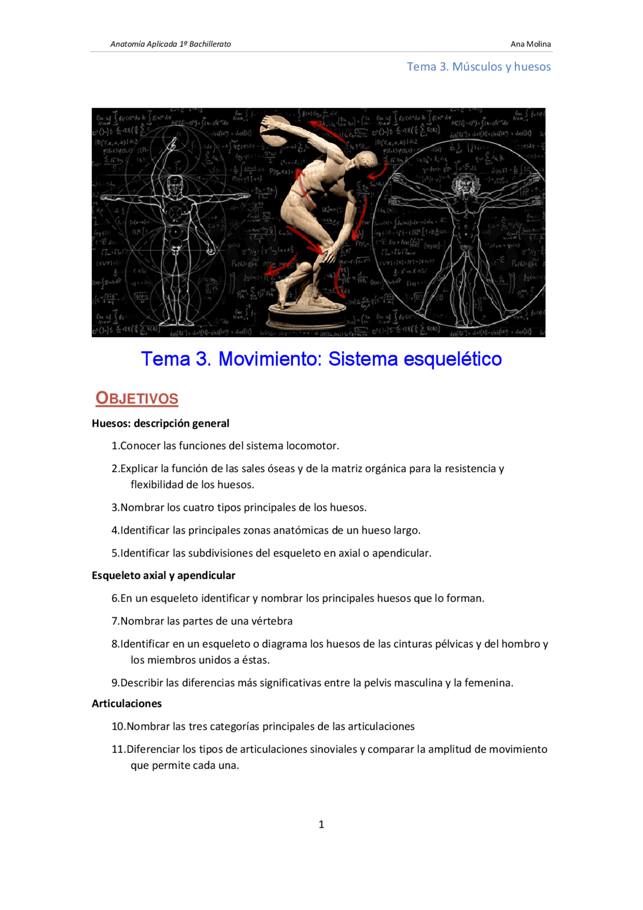 Anatomía Óseo Sistema Docsity