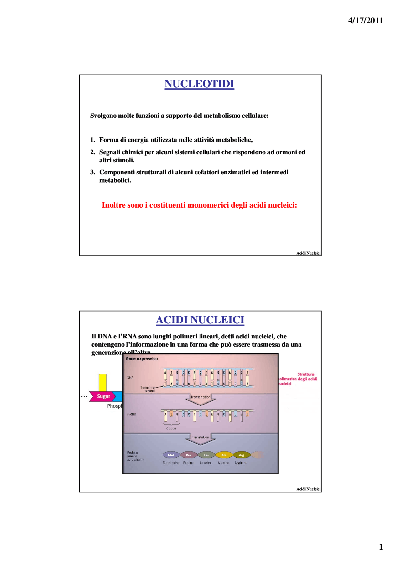 Biochimica Slides Lezioni Prof Bini Slide Di Biochimica Docsity