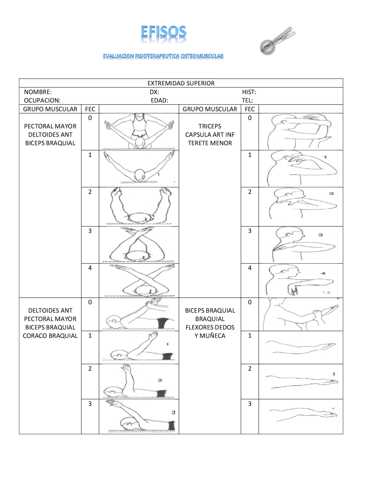 Flexi-test evaluación para cada uno de los grupos musculares | Guías ...