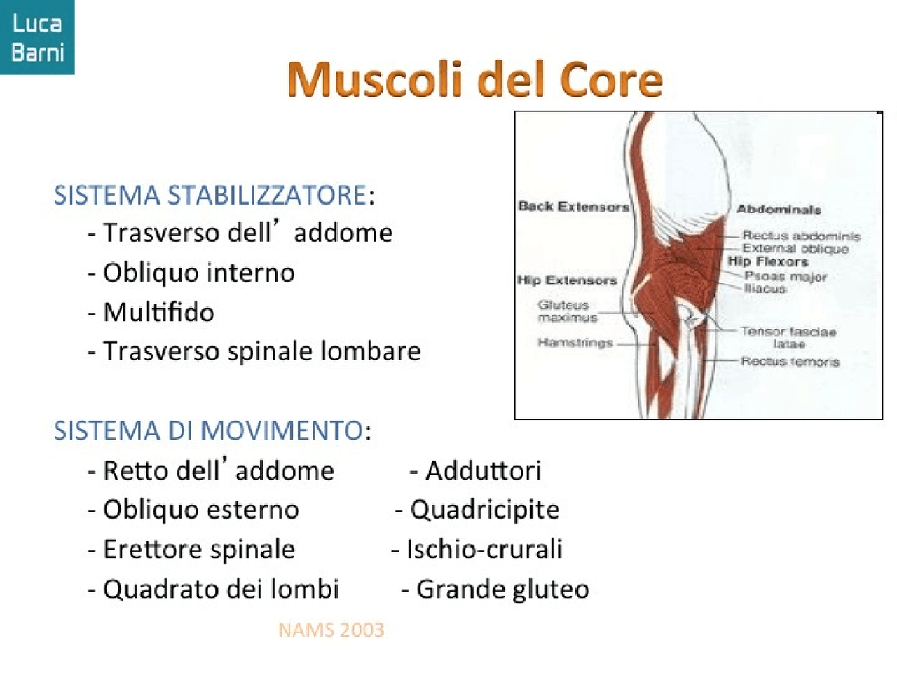 I Muscoli Del Core Esercizi Core Stability: Quali Sono E Benefici