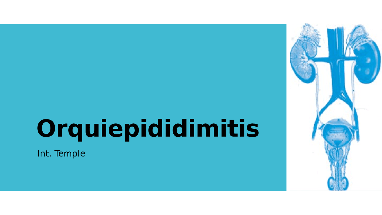 Que es la orquiepididimitis | Diapositivas de Medicina - Docsity