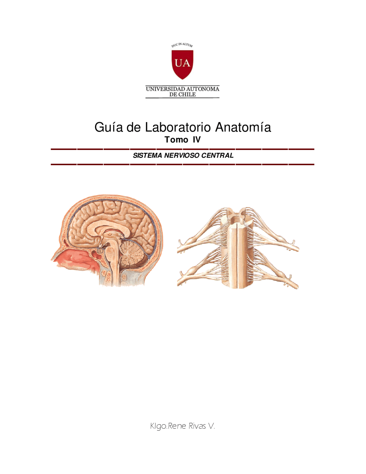 Neuroanatomia del Sistema Nervioso Central - Docsity