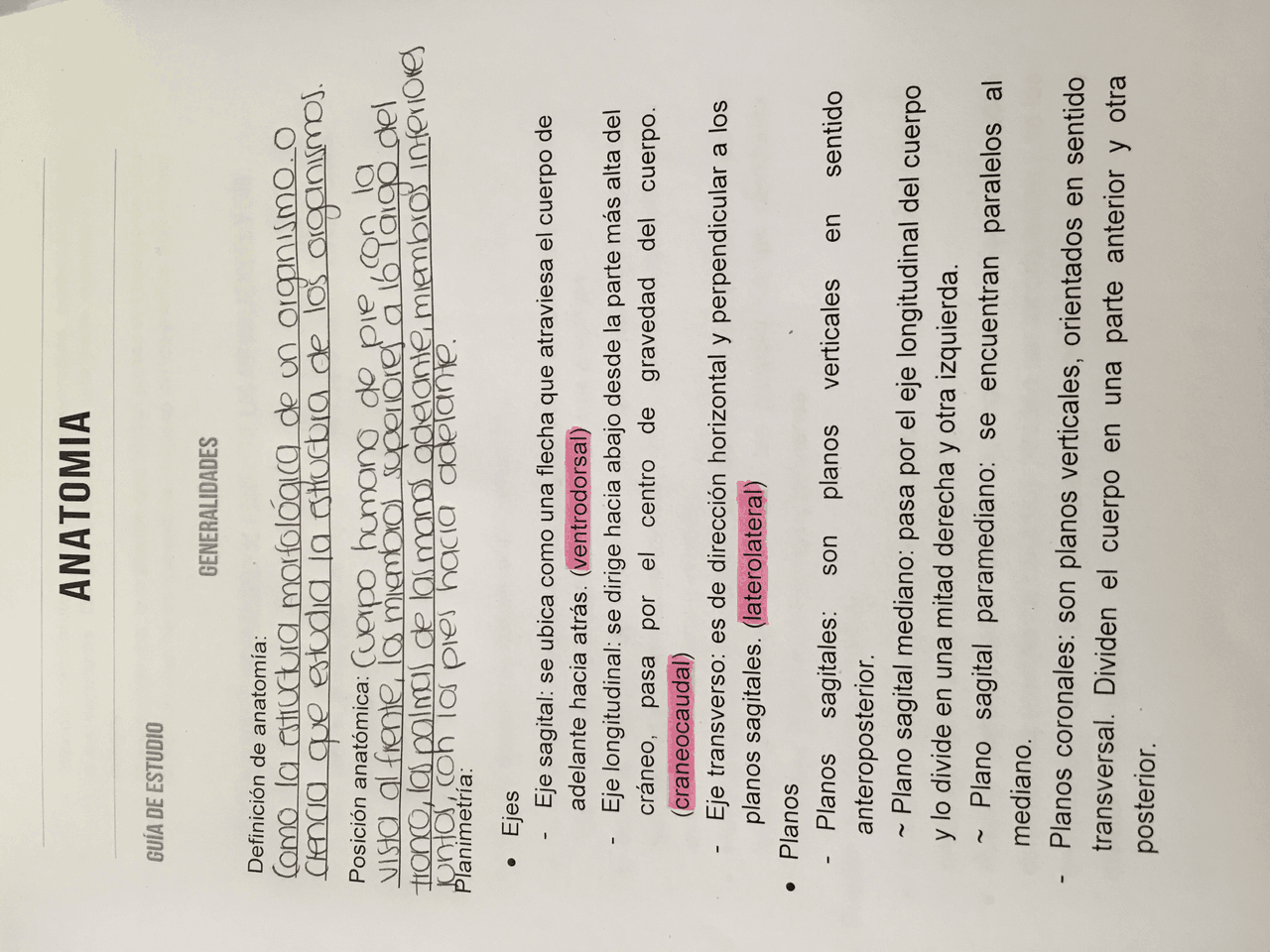 Generalidades Anatomia Docsity