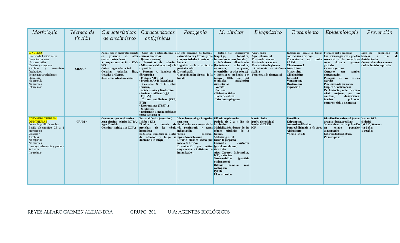 Cuadro Comparativo De Bacterias Con Características Fundamentales Docsity