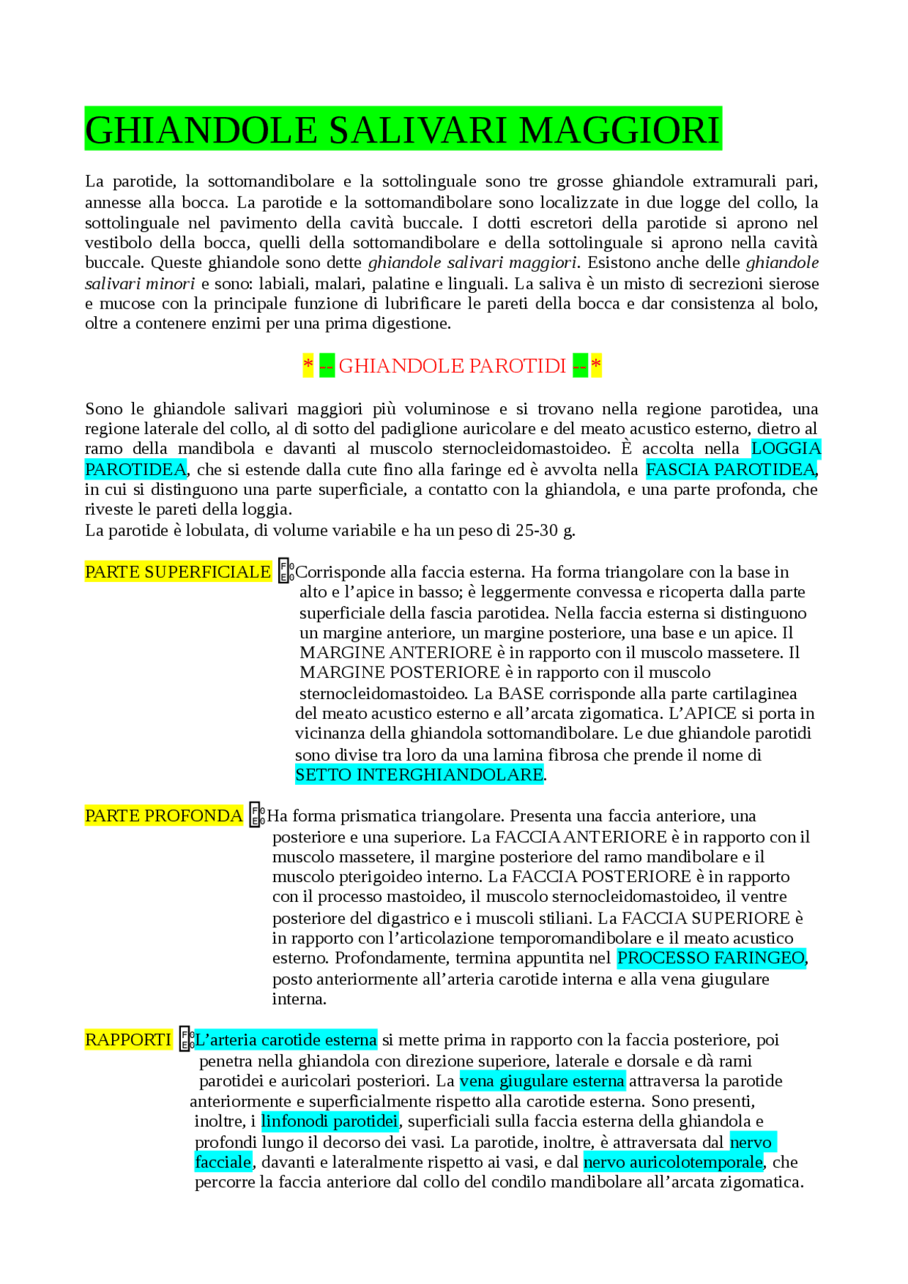 Ghiandole Salivari Maggiori Anatomia Umana Corso Di Laurea In