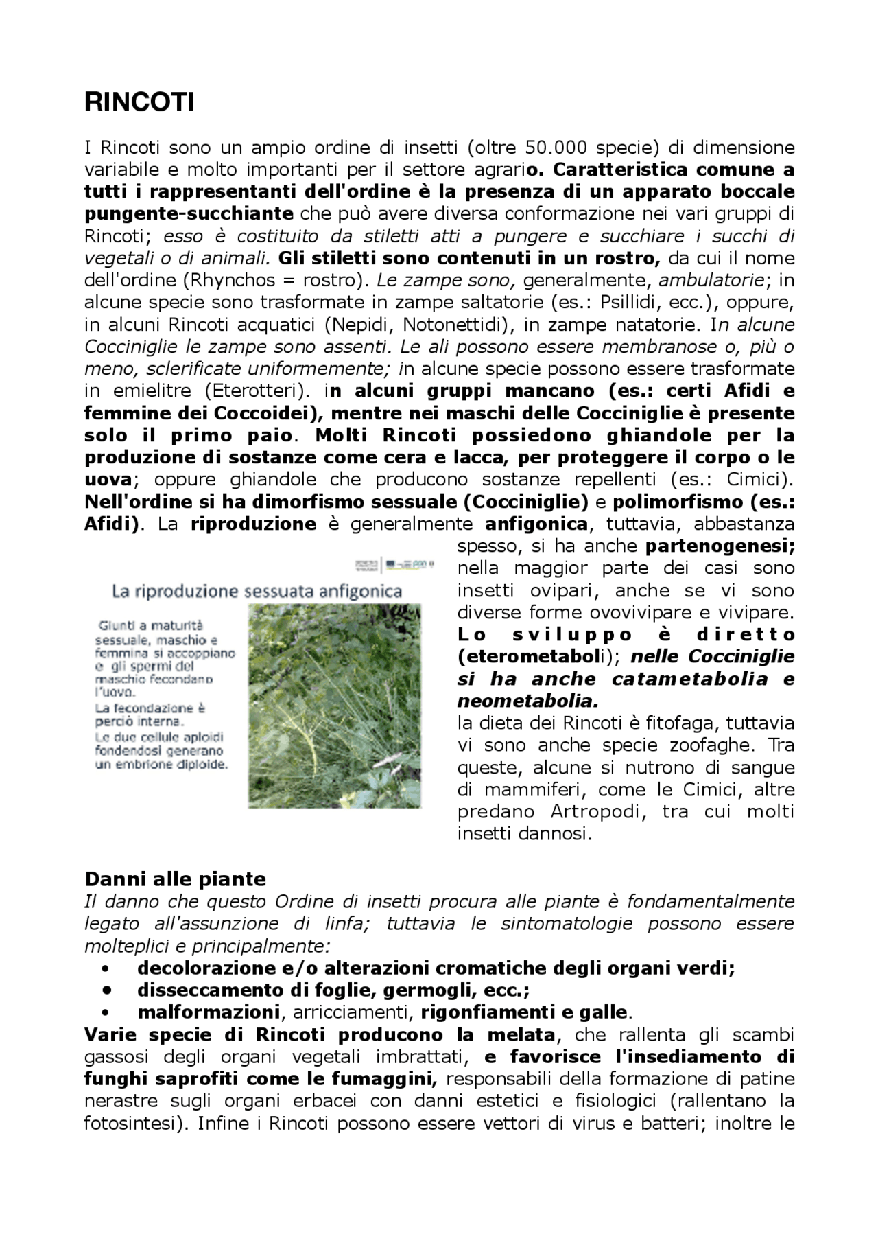 Entomologia agraria : principali fitofagi di interesse agrario - Docsity