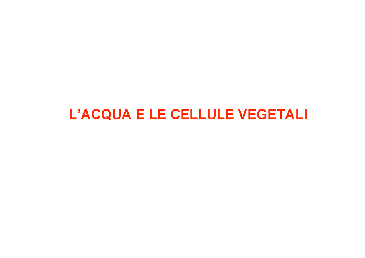 Slide Botanica Generale Slide Di Botanica Generale Docsity