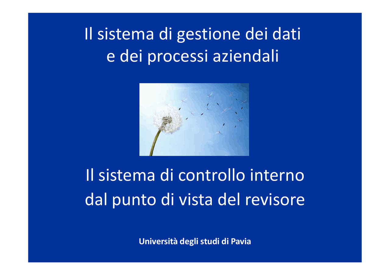 Revisione Aziendale Controllo Interno Auditing Audit Slides