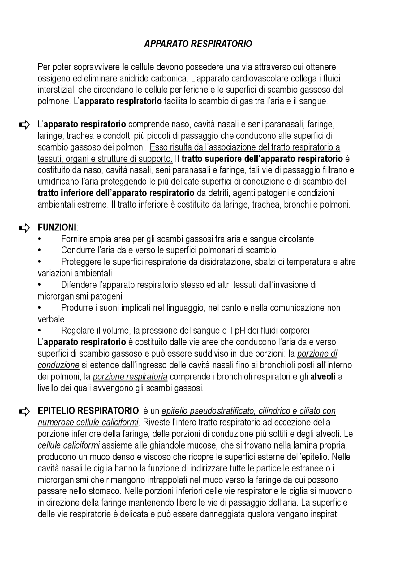 Sintesi Apparato Respiratorio Anatomia Umana Docsity