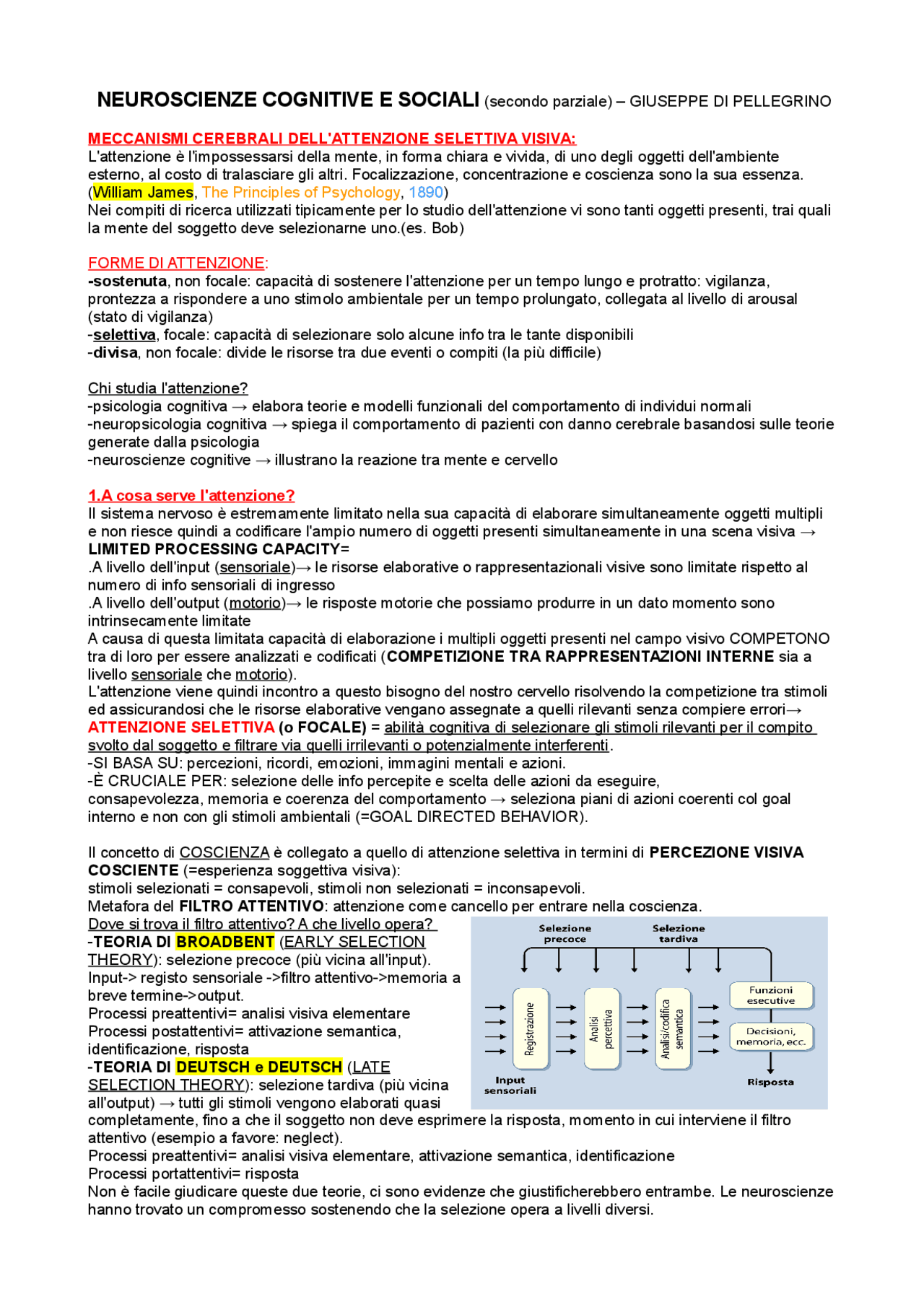 Slide Attenzione Neuroscienze Cognitive E Sociali Unibo Docsity